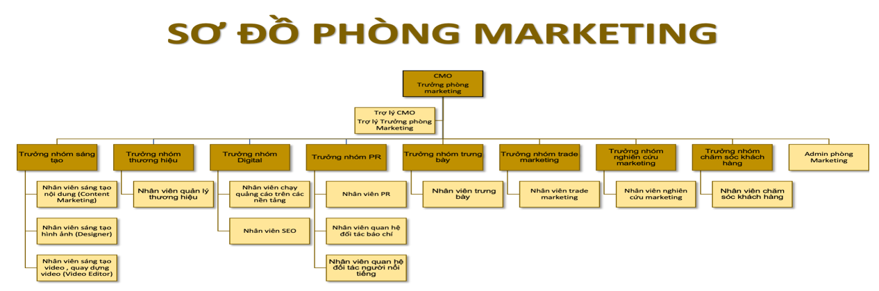 Hebum Team Việt Nam | Quy trình marketing là gì và nỗi khổ làm marketing sợ nhất không có quy trình